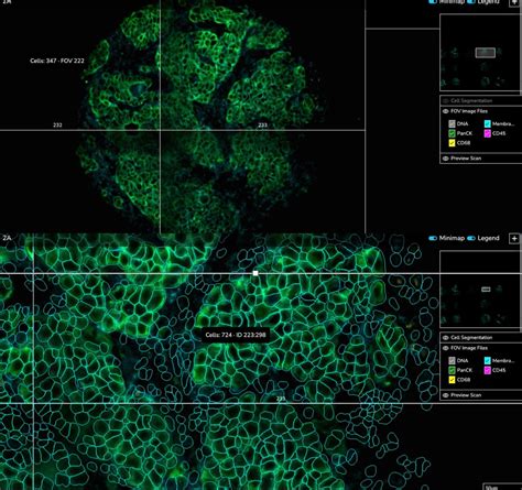 Sriya Malladi Mba Posted On Linkedin