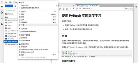 Deep Learning With Pytorch Openbayes