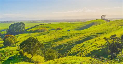 Sundo Tagalog Word My Tagalog