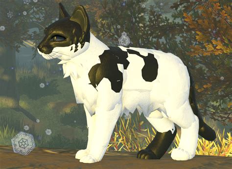 Simple Wcue Morphs Artofit