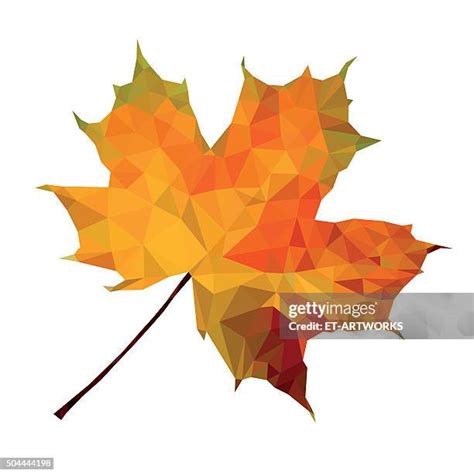 Geometric Maple Leaf Photos And Premium High Res Pictures Getty Images