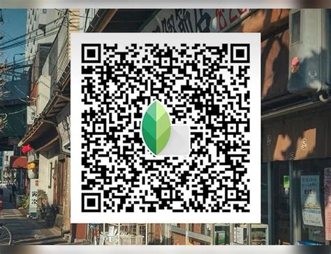 The 36 Best Snapseed Qr Codes Presets Artofit