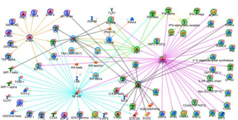 Transcription Regulatory Network Indicates Utilization Of Various