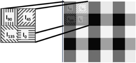 The Working Principle Of The Polarization Download Scientific Diagram
