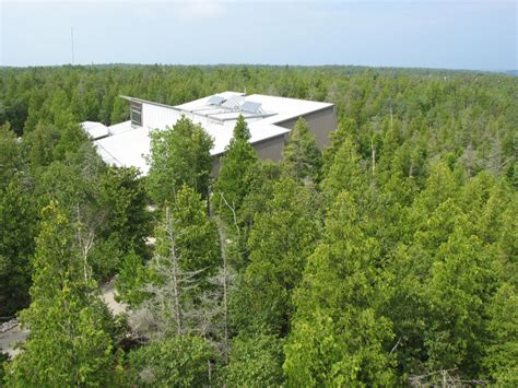 Achim Jankowski Csla