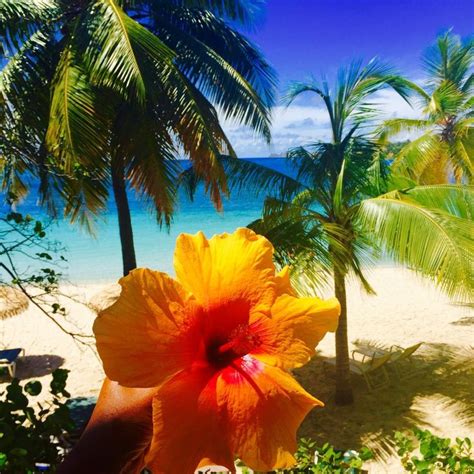 Pin By Suzy On Mermaid 🫧 Tropical Vibes Beautiful Locations Nature