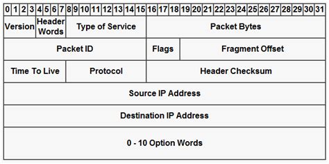 Structure Of A Packet Network Infrastructure Wiki Fandom