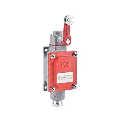 Explosion Proof Limit Switch With Roller Leverplunger