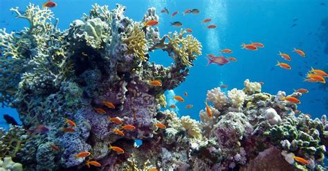 Secretaria Interina Del Drna Visita Nuevo Centro De Restauración De