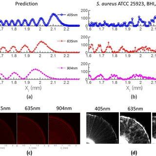 A And 5 B Show The 1D Cross Section Of Spectral Diffraction Patterns Download Scientific