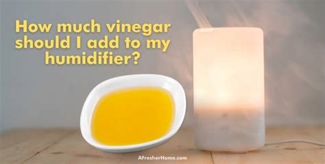 Can You Run Vinegar Through A Humidifier