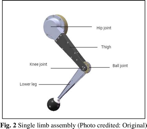 Figure 2 From Topology Optimization Of Quadruped Robot Limbs Based On