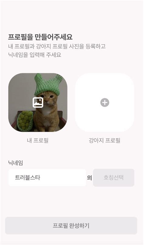[🐶 사이드 프로젝트] ios 모바일 환경에서 onblur가 제대로 동작하지 않는 이슈