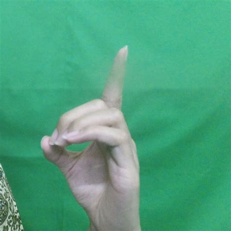 Sibi Alphabet Abc Instance Segmentation Dataset And Pre Trained Model By Sibi