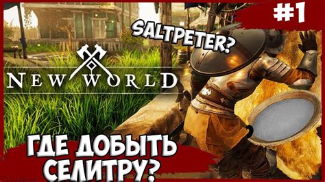 ГДЕ ДОБЫТЬ СЕЛИТРУ ? New World #1 - YouTube