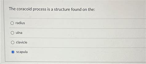 Solved The Coracoid Process Is A Structure Found On