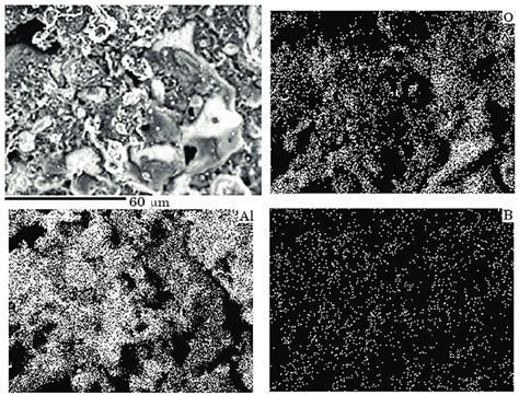 Microstructure Of Es Coating Of Alb 12 50 Wt Al On D1 Alloy Mode 6