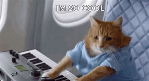 Dancing Cat Meme S