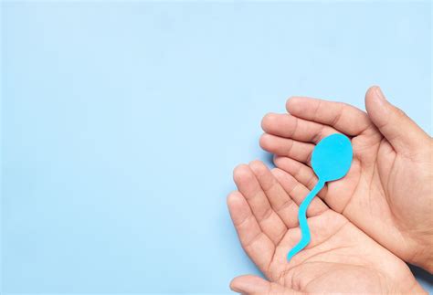 Sperm Donor Selection Expert Fertility Advice The Well By Northwell