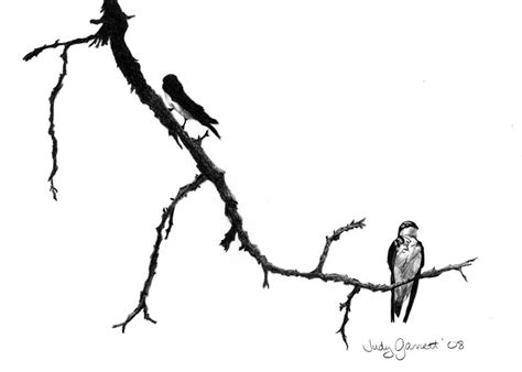 Tree Swallow Silhouette Drawing By Judy Garrett Fine Art America