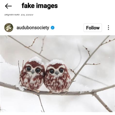 Certifiedtrue On Tumblr