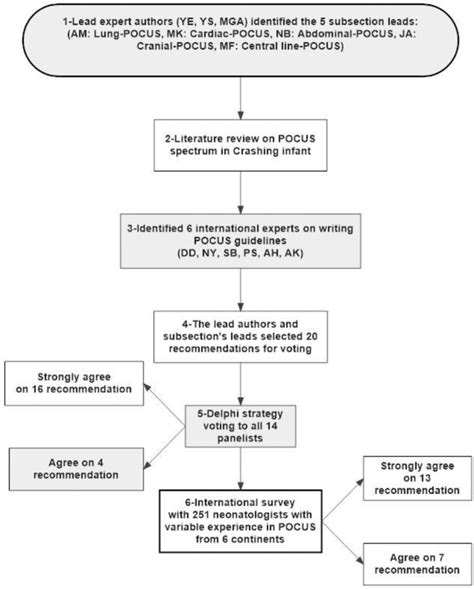 The Flow Diagram Summarizing The Six Steps Applied To Reach The