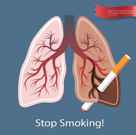 Smoking In Public Places Should Be Banned 7c Report