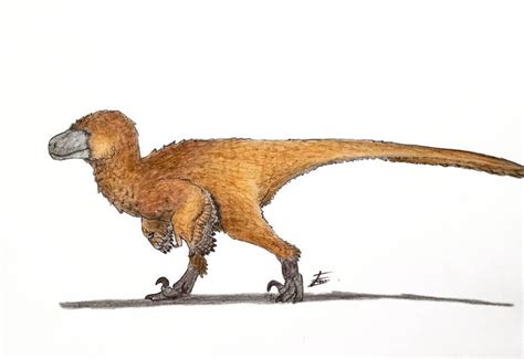 Utahraptor By Gabutbanget On Deviantart