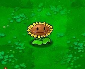 Girasol De Pvz Plantas Vs Zombies Plants Vs Zombis Zombies Dibujo