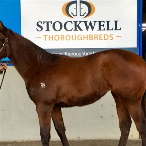 Deborah Bindon Southern Cross University Lismore Centre For Tourism Leisure And Work Ctlw