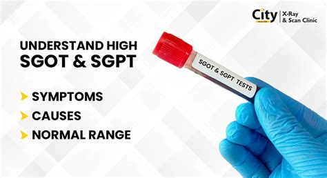 Symptoms Of High Sgot Sgpt Causes Normal Range