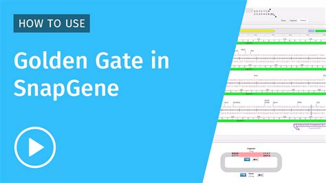 Learn Golden Gate Assembly Snapgene