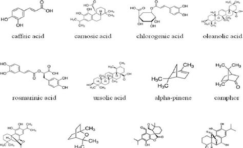 Phytocompounds Present In R Officinalis L Download Scientific Diagram