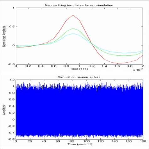 Top Three Neuron Spike Templates Embedded Into Simulation Data Download Scientific Diagram