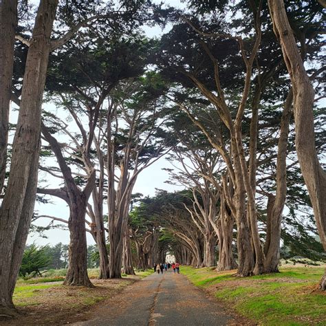 Sofia Fedotova Sofia Fedotova Added A New Photo