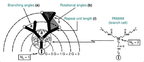 Branch Cell Parameters Branching Angles A Rotational Angles B Download Scientific