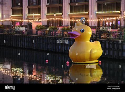 A Large Rubber Duck Floating In West India Quay Docks At Canary Wharf