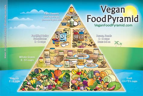 What Is Vegan Food Info Baru