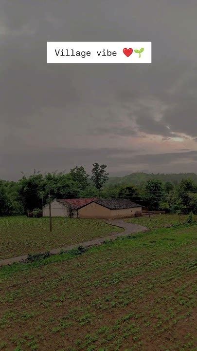 Village Vibe ️🌱 Youtube