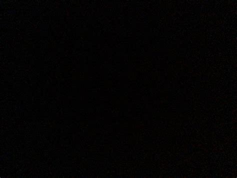 The Pointers Place Mascot Coming Soon