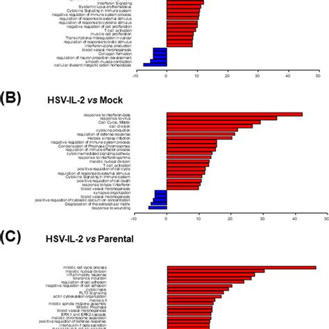 Go Term Analysis Of Infected Ilc2s Go Terms Enriched For Genes That