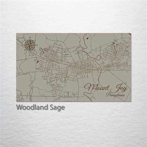 Mount Joy Pennsylvania Street Map Fire And Pine