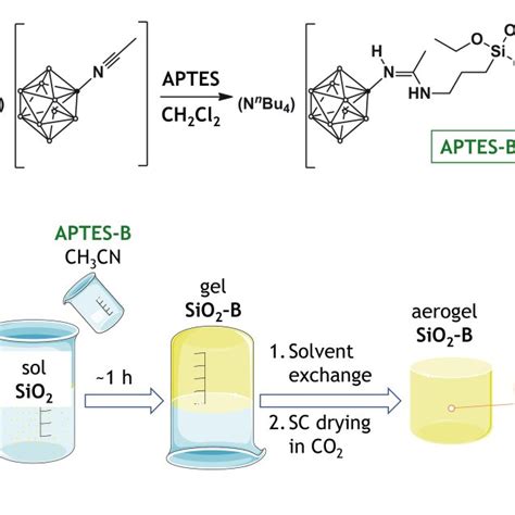 The Synthesis Scheme For The APTES B Silylated Closo Borate And SiO2 B Download Scientific