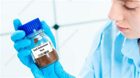 Soil Selenium Test Stock Image F0441880 Science Photo Library