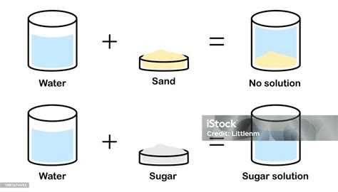 Dissolving Science Experiments Dissolving Of Water Solution Infographic