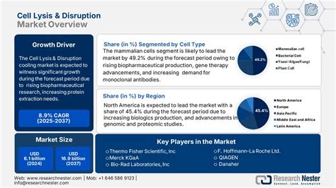 Cell Lysis And Disruption Market Size To Hit 1848 Billion By 2037 89