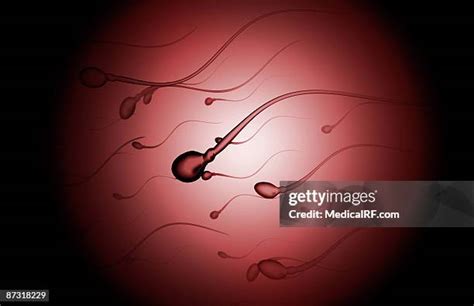100 Sperm Background High Res Illustrations Getty Images