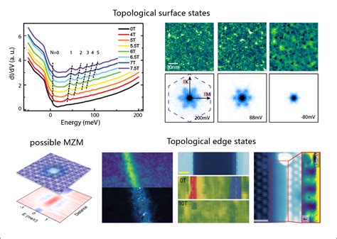中国科学技术大学 王震宇 中文主页 研究领域