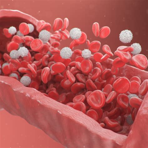 Separation Solutions