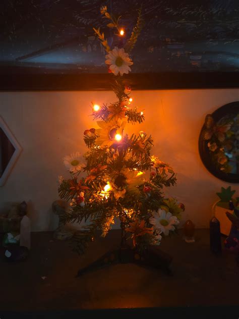 Crafts And Photography Ashley Ruest